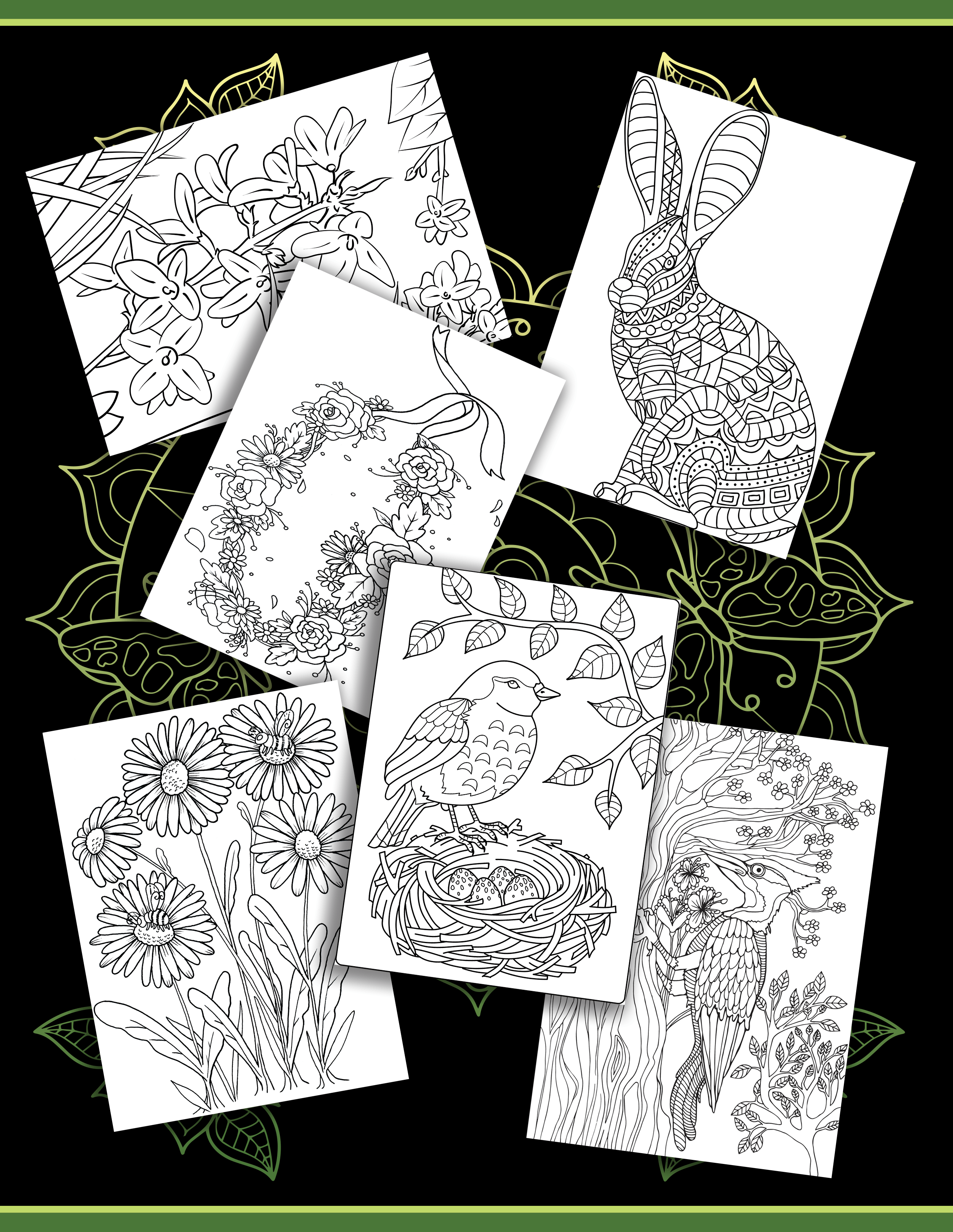 Adult Coloring Book: 30 Spring Blooms Coloring Pages – ColoringCraze