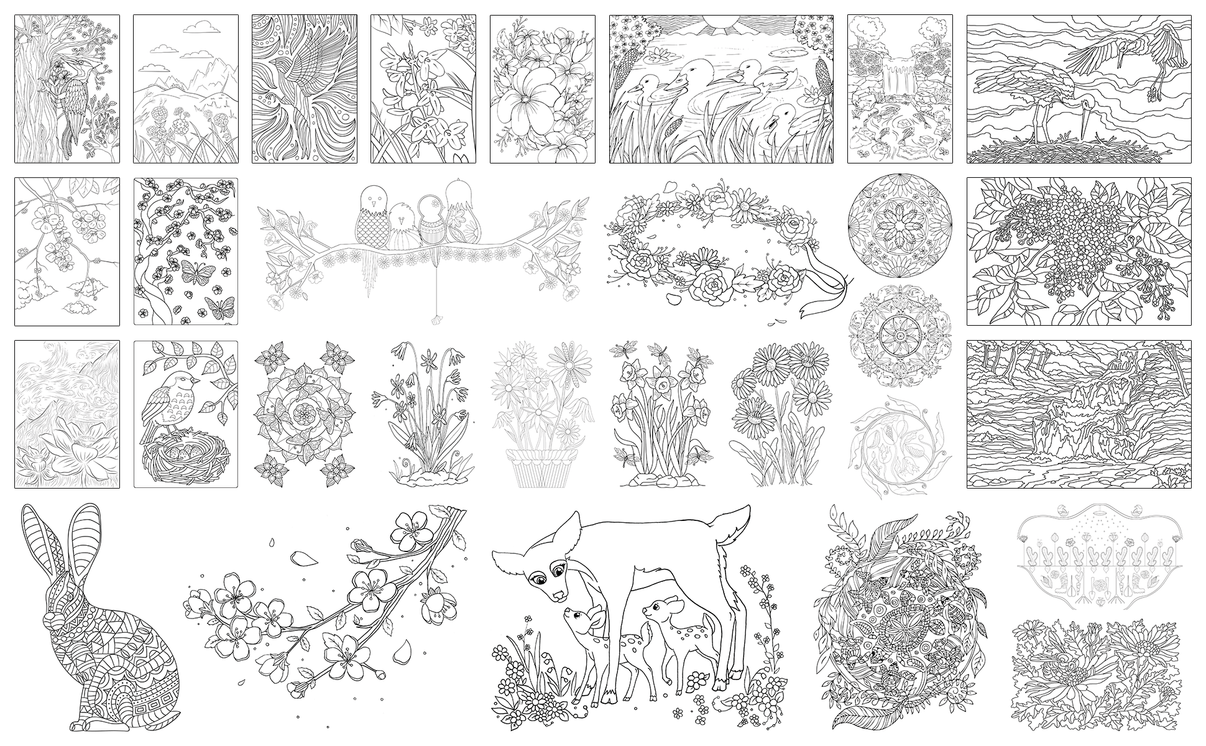 Adult Coloring Book: 30 Spring Blooms Coloring Pages – ColoringCraze