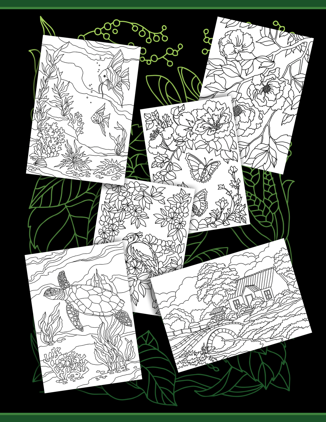 ColoringCraze - Adult Coloring Books - Best Sellers